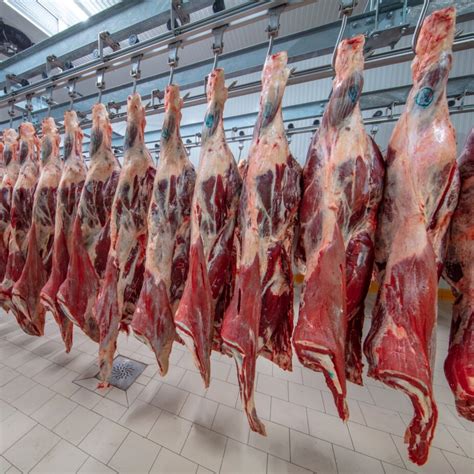 Halvt Højreb På Ben Sashi Kan Kun Levereshentes 16 Okt Steak Out