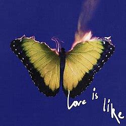 Love Is Like Wikipedia