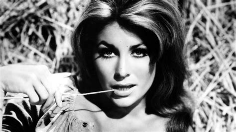 Michele Carey Dead Actress In El Dorado Elvis Presleys Live A