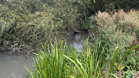 Witney Flooding Campaigners Call For Work On River Windrush