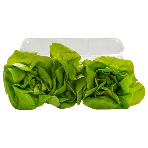 Organic Butter Lettuce 3 Count 1177 599 Down From 649