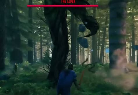 Valheim Boss Order All Seven Forsaken And How To Summon Them