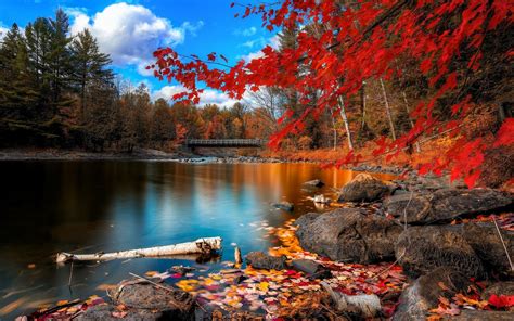 Nature Wallpapers Desktop Beautiful Widscreen Autumn Hd Wallpaper
