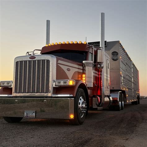 Cowhauler Bullhauler Trucking Victor Aldaz