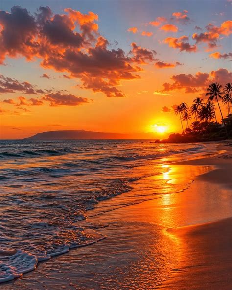 Golden Beach Sunset 🌅🌊 Sunset At The Beach With Trees Palm Trees