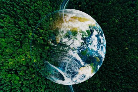 15 Lesser Known Facts About The World That Should Be Common Knowledge