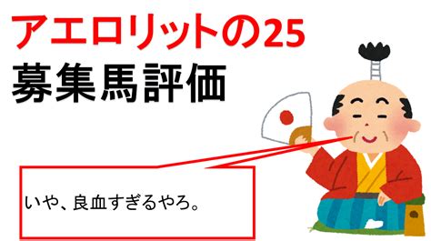 アエロリットの25血統分析 2026年サンデーサラブレッドクラブ募集馬 ケイバ旅程