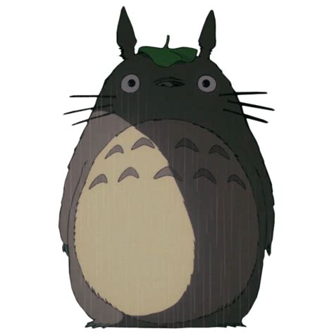 Totoro My Neighbor Totoro Movie Anime Colors