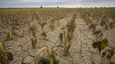 El Niño 2026 The Inflation Risk Killing Fed Rate Cut Odds