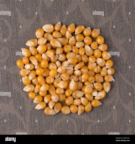 Circle Corn Hi Res Stock Photography And Images Alamy