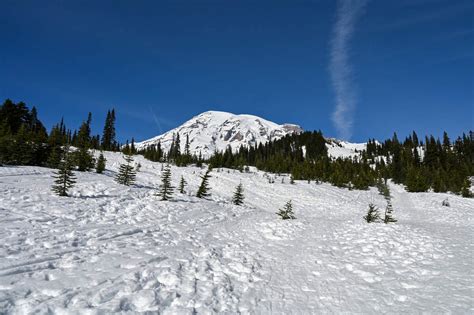 Mount Rainier Np Releases Details About Death Injuries During Rockfall