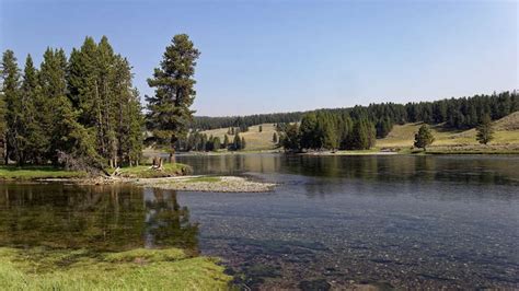 Yellowstones Hayden Valley Skips The Trees But Keeps The Bison Wolves