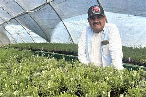 Victors Lavender Expands To Ohio