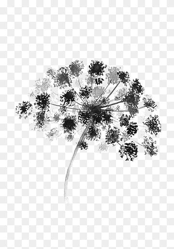 Black Print Flower Png Images Pngwing