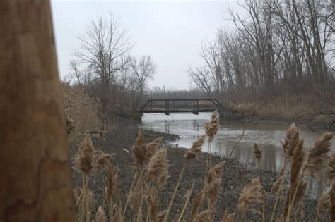 Small Bridge By Eldritch A Sketch On Deviantart