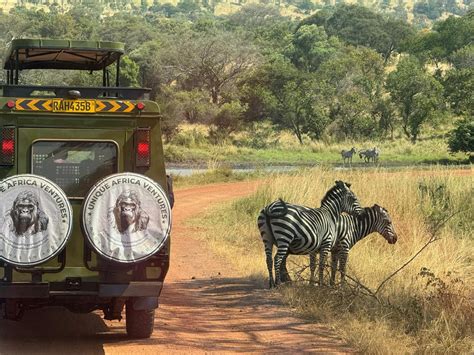 Rwanda Big Five Safari Planning Checklist Essentials