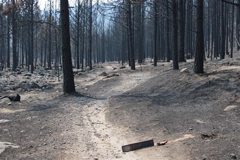 Riverside Wildfire Recovery Washington State Parks