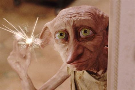 Fans De Harry Potter Logran Desviar Enlace Energético Para Proteger La Tumba” De Dobby ¿acaso
