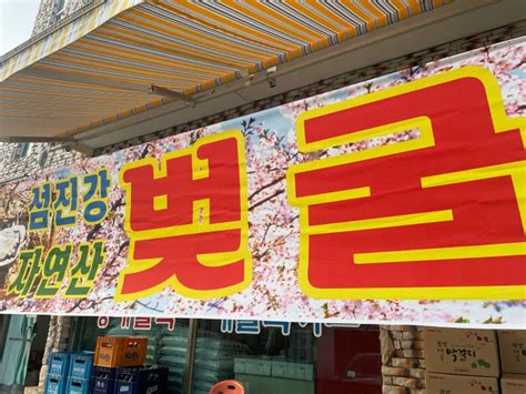 제24회 광양매화축제 벚굴도 먹고 재첩국도 먹고 네이버 블로그