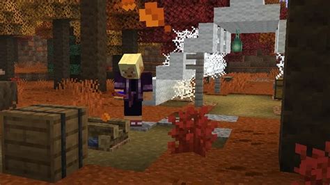 Minecraft Dappled Forest Update Guide 263 Metaprora