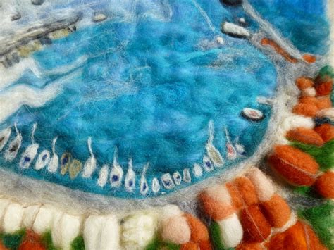 Steph Jansen Fine Felt On Reels Facebook