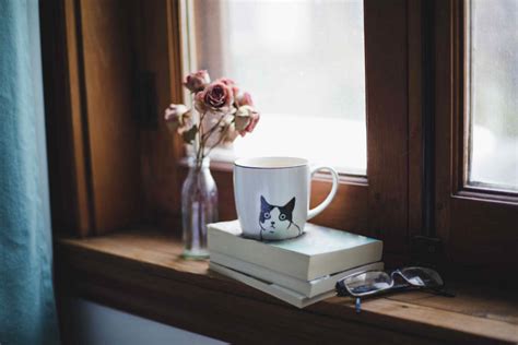 7 Things You Should Never Store Near A Window According To Experts