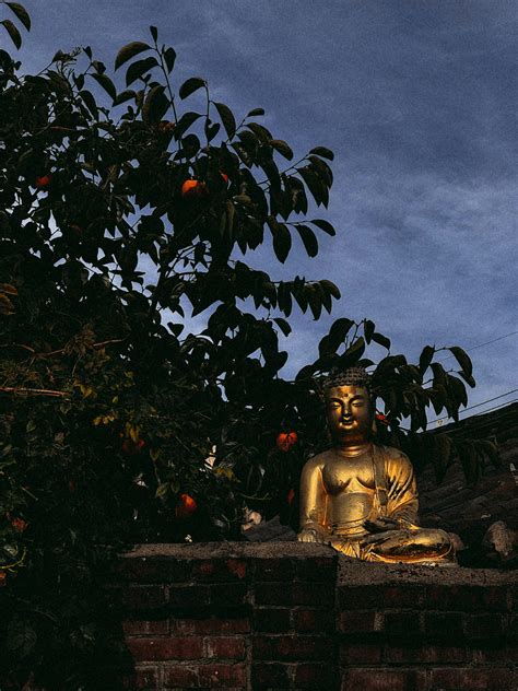 Yumi Kim Jstyumi Komunitas Foto Unsplash