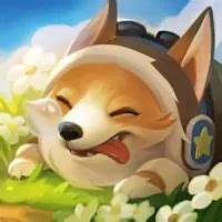 10초식 매화만개kr1 인게임 정보 League Of Legends 10초식 매화만개kr1 인게임 정보 League Of Legends