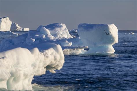 Us Denmark And Greenland Strike Deal To Expand Us Military Presence
