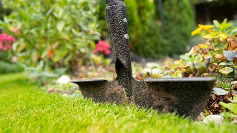 What Not To Do When Landscaping Garden Beds
