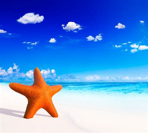 Photos All Photos Nature Images Free Photos PNG Stickers Wallpapers Backgrounds Rawpixel