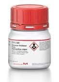 Glucose Oxidase Aus Aspergillus Niger Type X S Lyophilized Powder