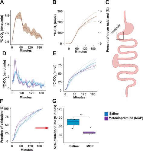 A Noninvasive 13c Mannitol Breath Test To Monitor Semaglutide Treatment