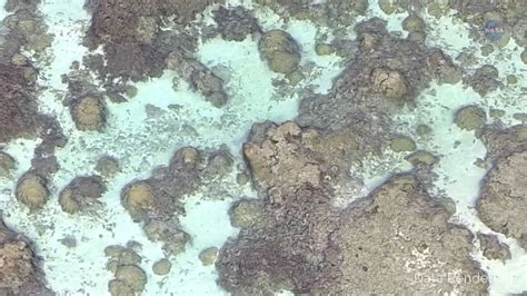 Exploring Beneath The Waves Nasa Science