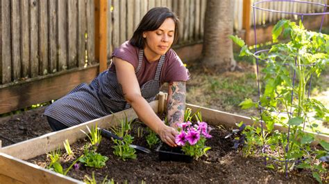 You Can Do Better Than Wood The Rustic Raised Garden Bed Material That