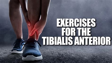 8 Best Strengthening Exercises For Tibialis Anterior One For All