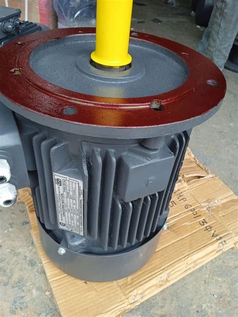 Flange Mounting Ac Motor 7 Hp At ₹ 18600 Piece In Ahmedabad Id