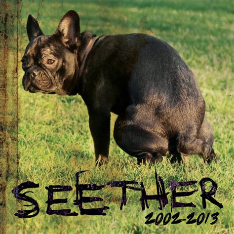 Seether 2002 2013 Deluxe Version Album By Seether Spotify