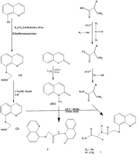 Scheme Of Overall Pathway Of Synthesis Of N Heterocyclic Compounds Download Scientific Diagram