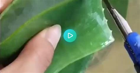 Satisfyingly Sticky Album On Imgur