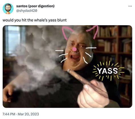 The Whale Passing A Blunt Meme The Whale Passing A Blunt Know