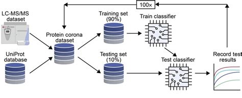 Rfc Workflow For Splitting Based Predictions Lc Msms Gives Protein