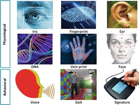 Recreating Fingerprints Using Convolutional Autoencoders Iris Recognition Deep Learning