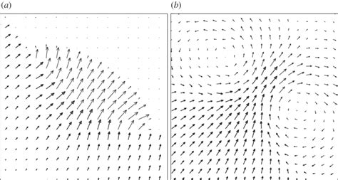 Flow Velocity Map At The Heavy Light Interface In The Case Of The Rmi
