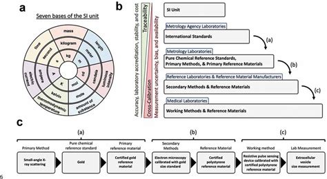 Traceability To The SI Unit A Shows The Seven Base Units Of The SI Download Scientific