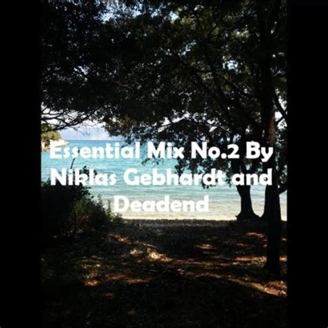 Stream Essential Mix No2 By Niklas Gebhardt And Deadend By Felix