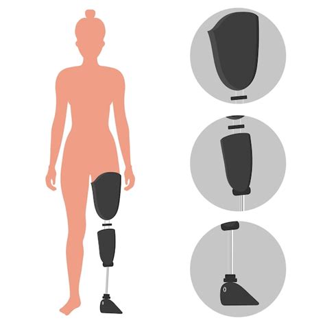 Premium Vector Legs Prosthetic Limb Woman Prosthesis Artificial Leg