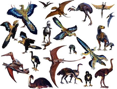 Flying Dinosaurs Types