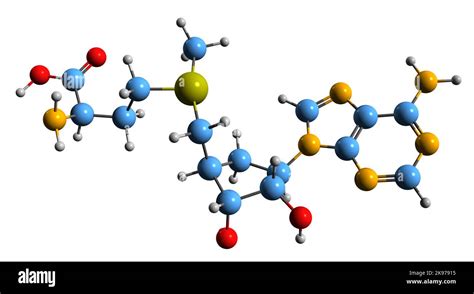3d Image Of S Adenosyl Methionine Skeletal Formula Molecular Chemical Structure Of Cosubstrate