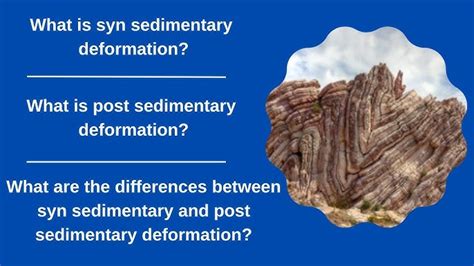 Bioclastic Sedimentary Rocks